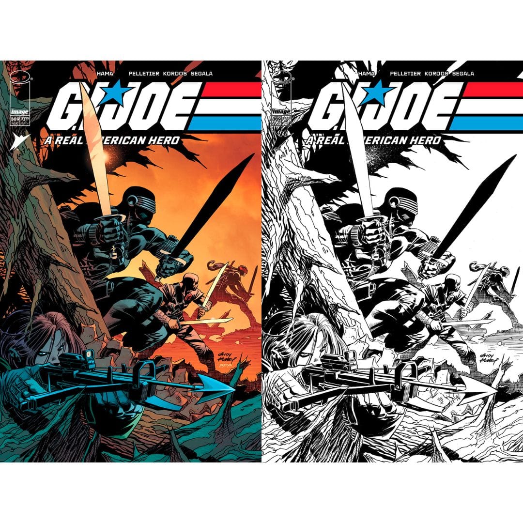 G.I. Joe: A Real American Hero #309 Cover A B Set